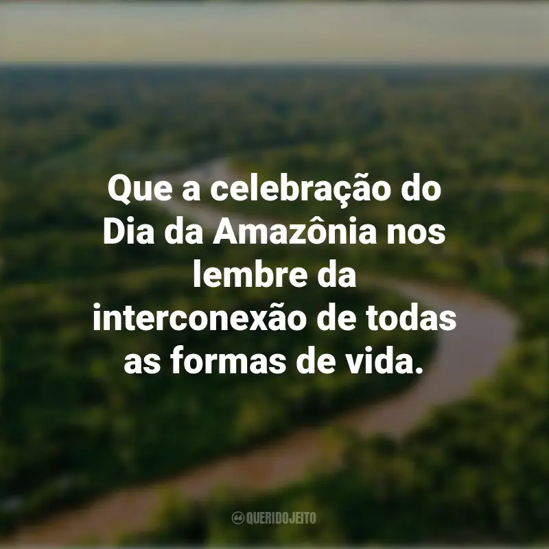 Que a celebração do Dia da Amazônia nos lembre da interconexão de todas ...