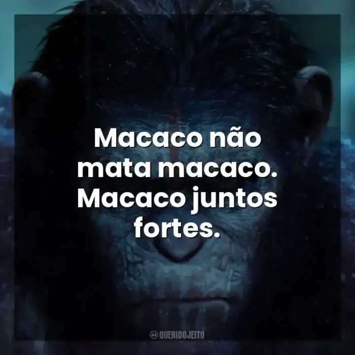 Macaco não mata macaco.... Planeta dos Macacos: O Confronto (Filme)